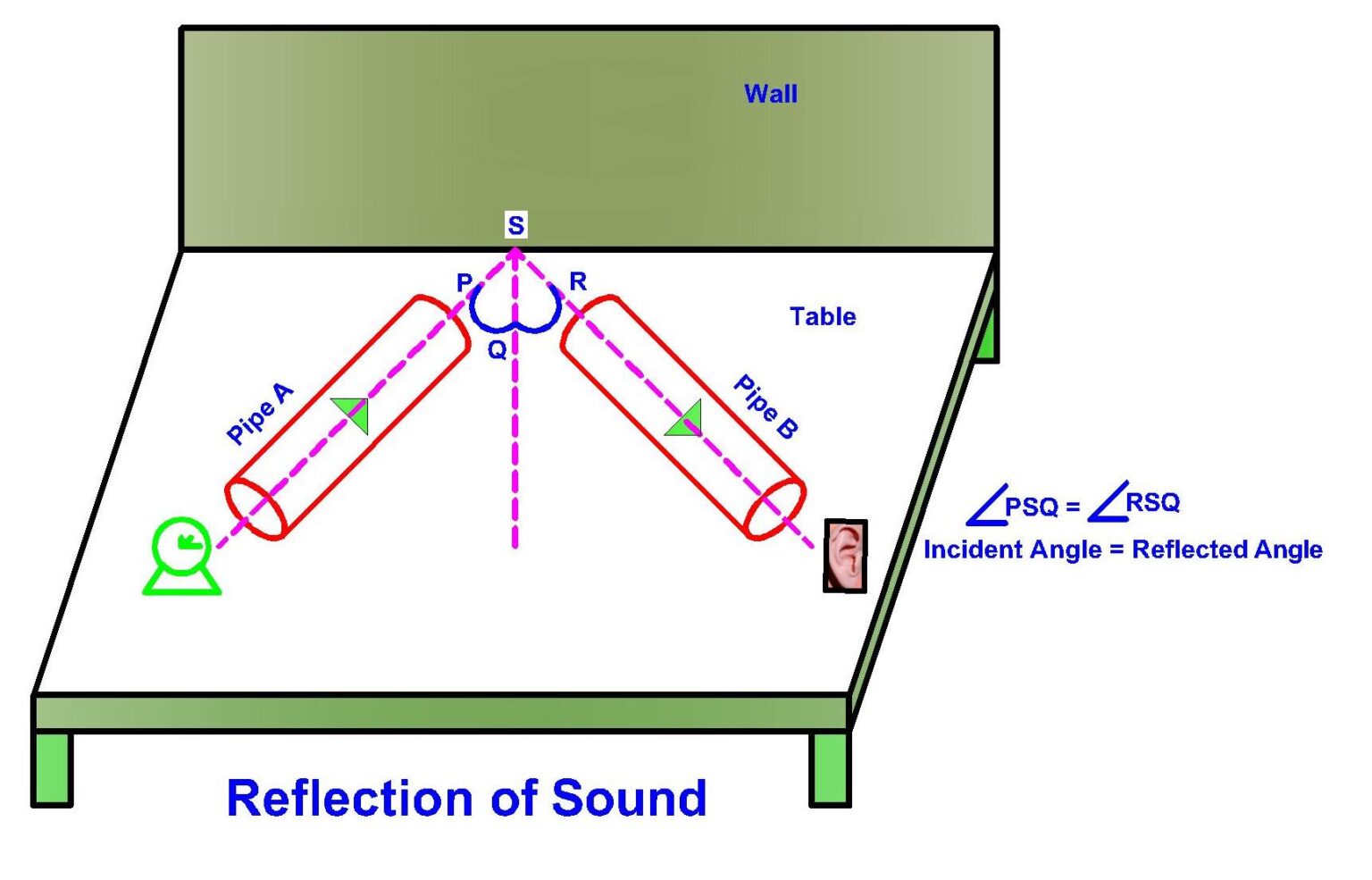 Sound Class 9 Science | NCERT Chapter 12 | CBSE | 9thscience