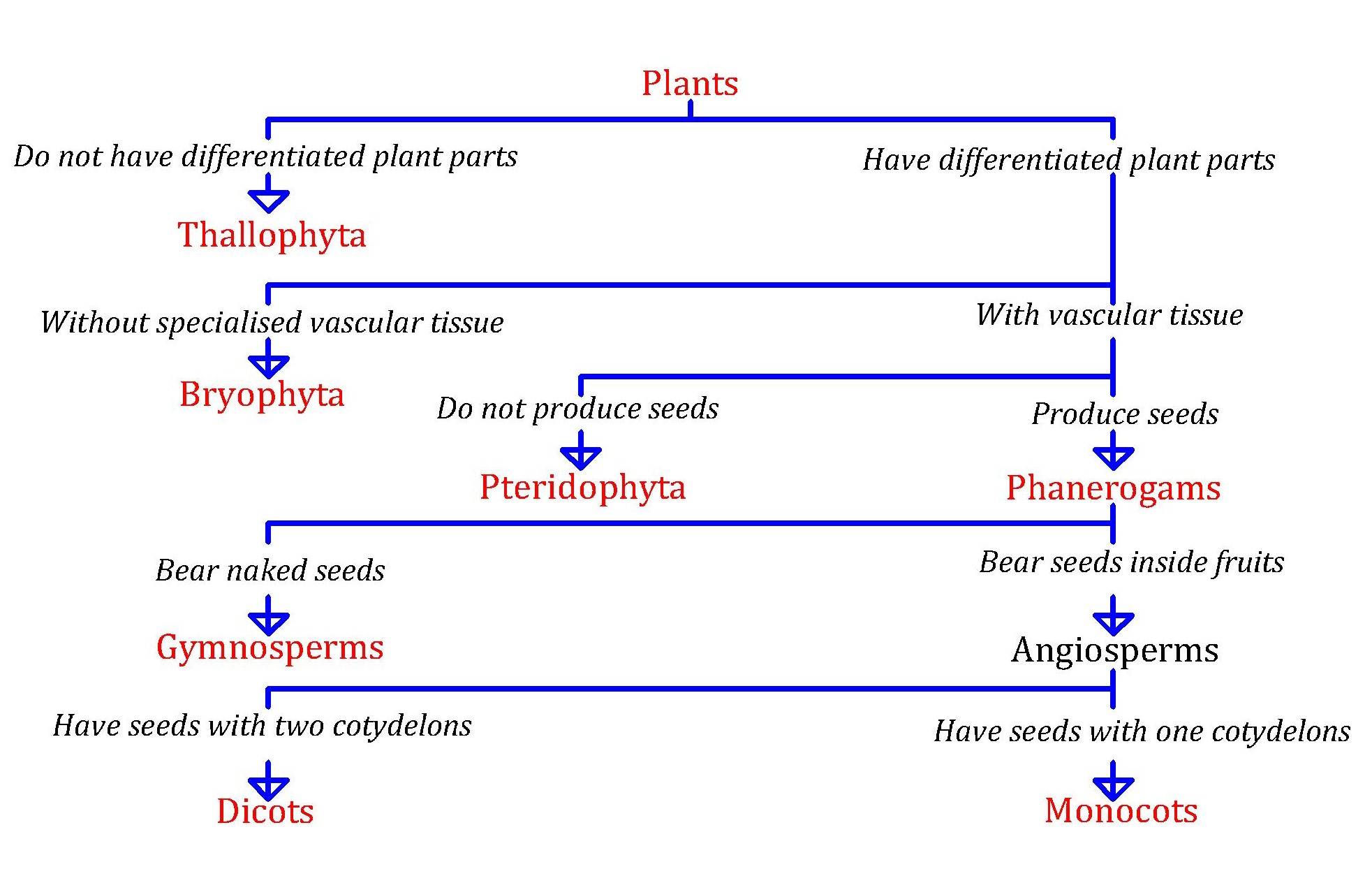 Diversity in Living Organisms | Class 9 Science | 9thscience