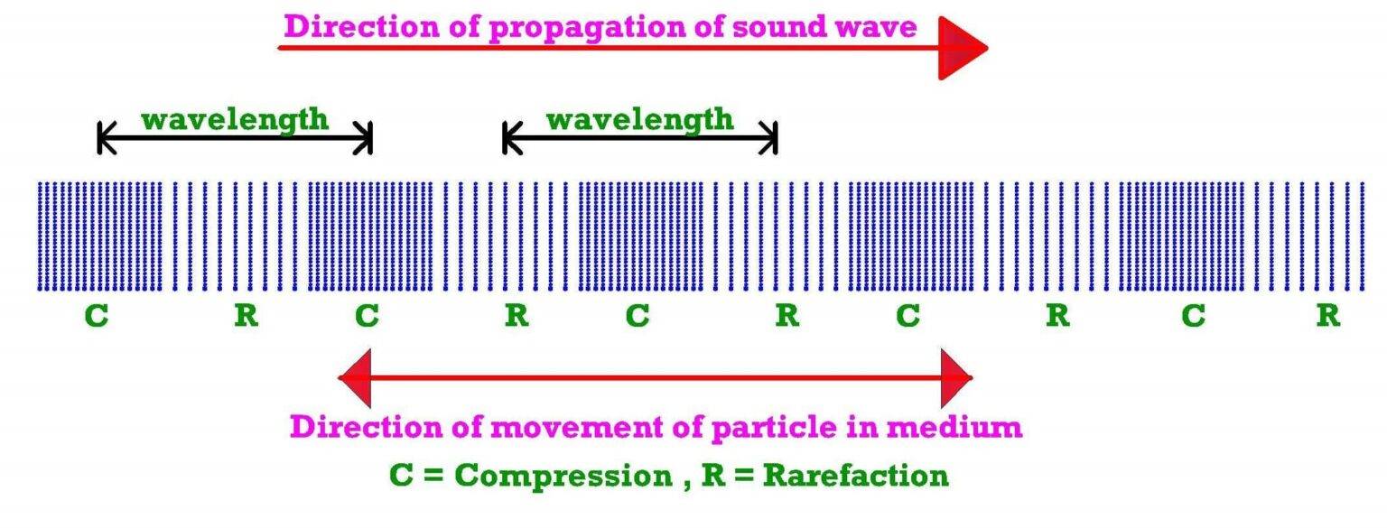 Sound Class 9 Science | NCERT Chapter 12 | CBSE | 9thscience